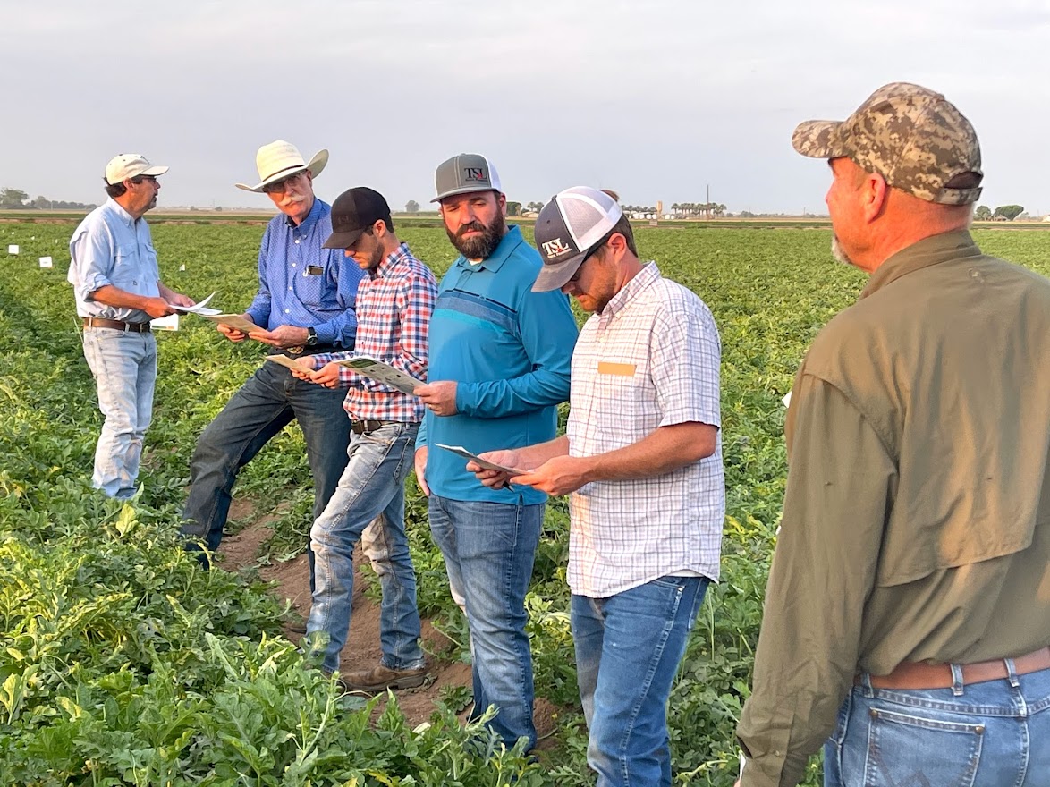1st Watermelon Field Day - Yuma Arizona - USA