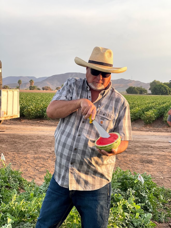 1st Watermelon Field Day - Yuma Arizona - USA