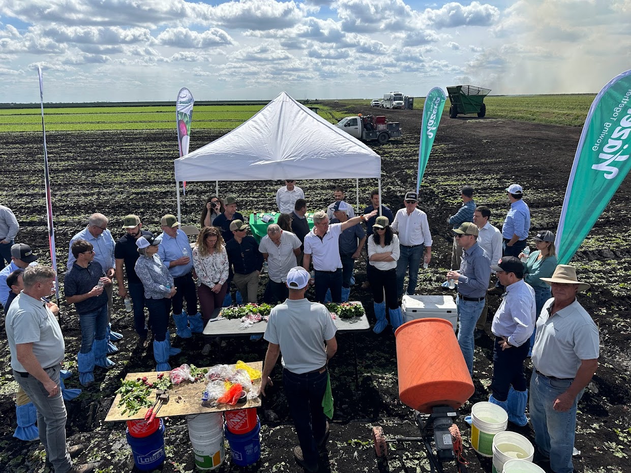 A Triumph in Farming Innovation - USA