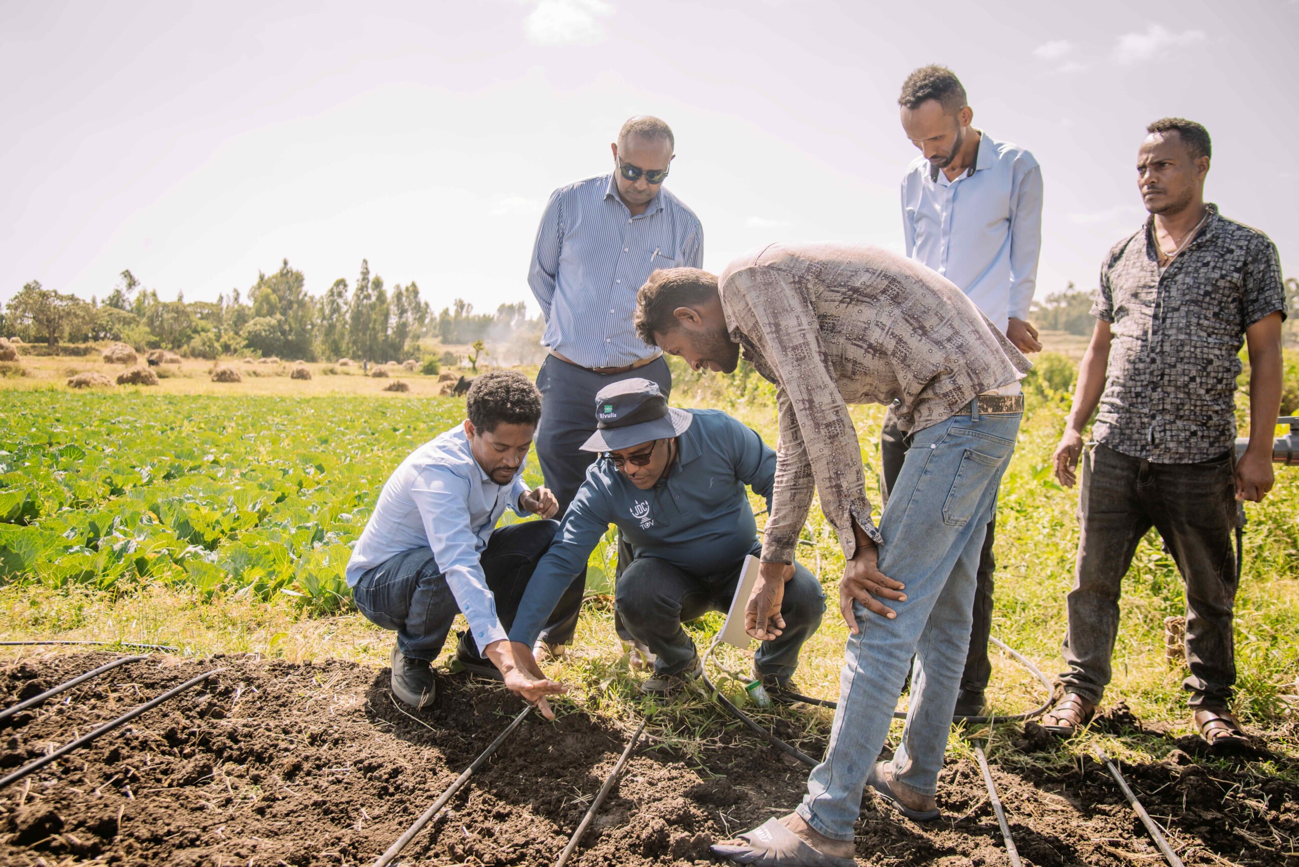 Empowering Ethiopian farmers – a successful collaboration between Hazera, JDC and Greenlife - USA