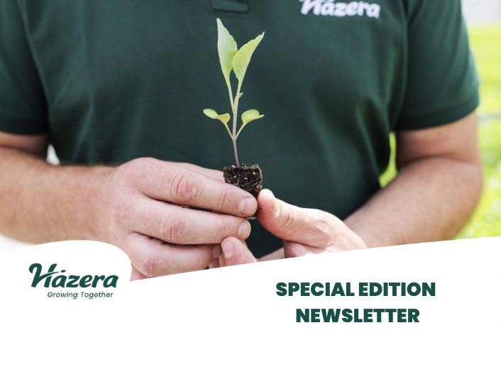 Newsletter - Special Edition - USA